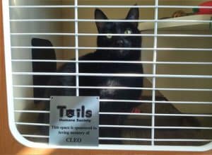 Tails Humane Society - Dekalb IL