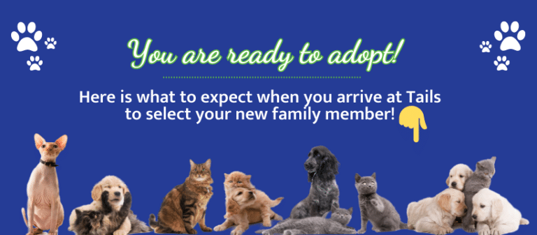 Adopt - Tails Humane Society