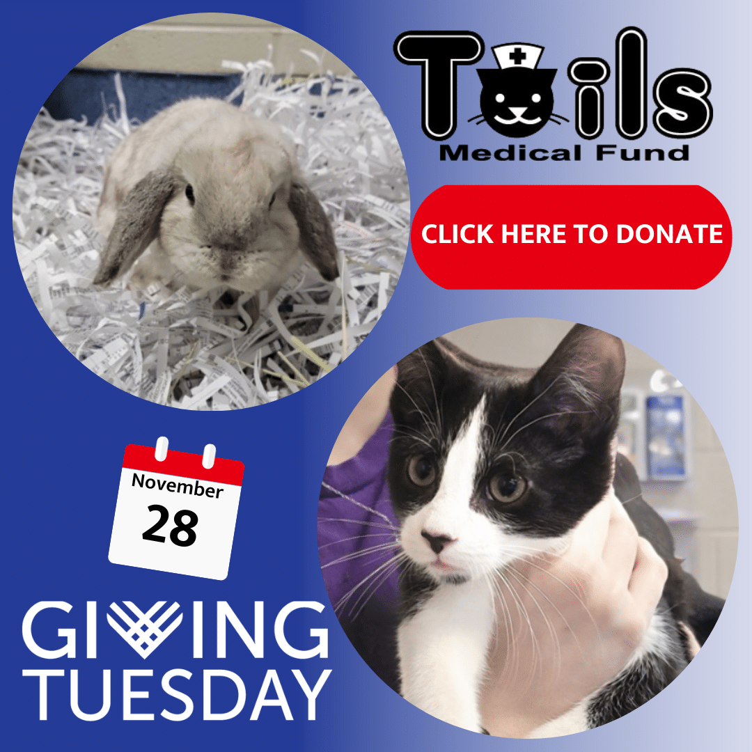 Tails Humane Society - Dekalb IL