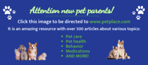 Adopt - Tails Humane Society