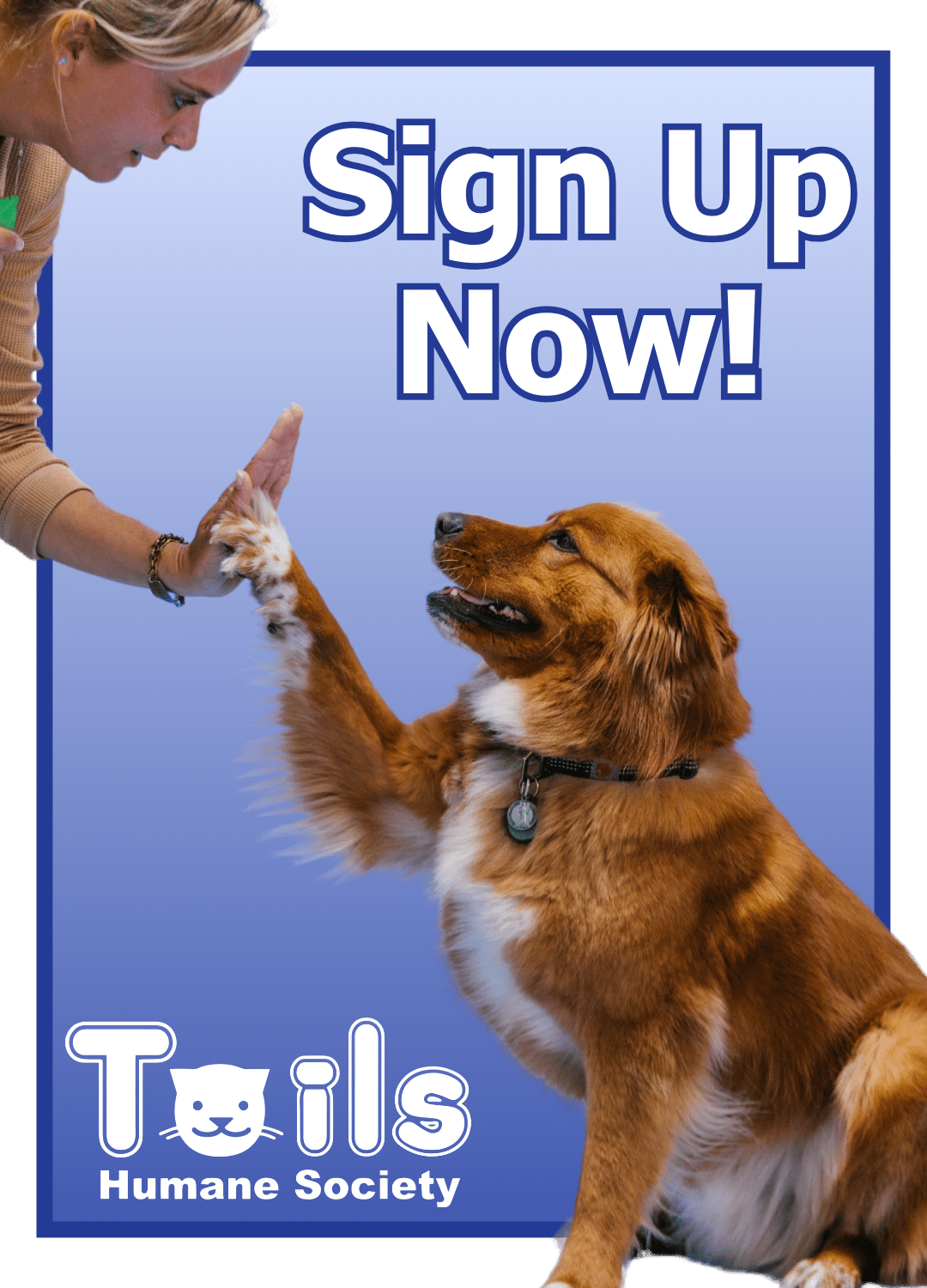Dog Training - Tails Humane Society - Dekalb IL