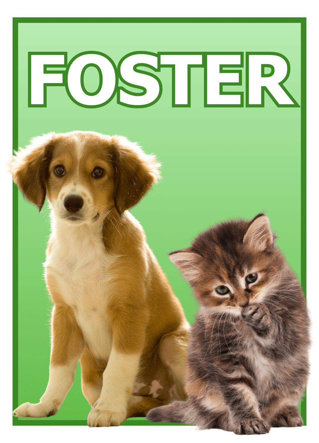 Get Involved - Tails Humane Society - Dekalb IL
