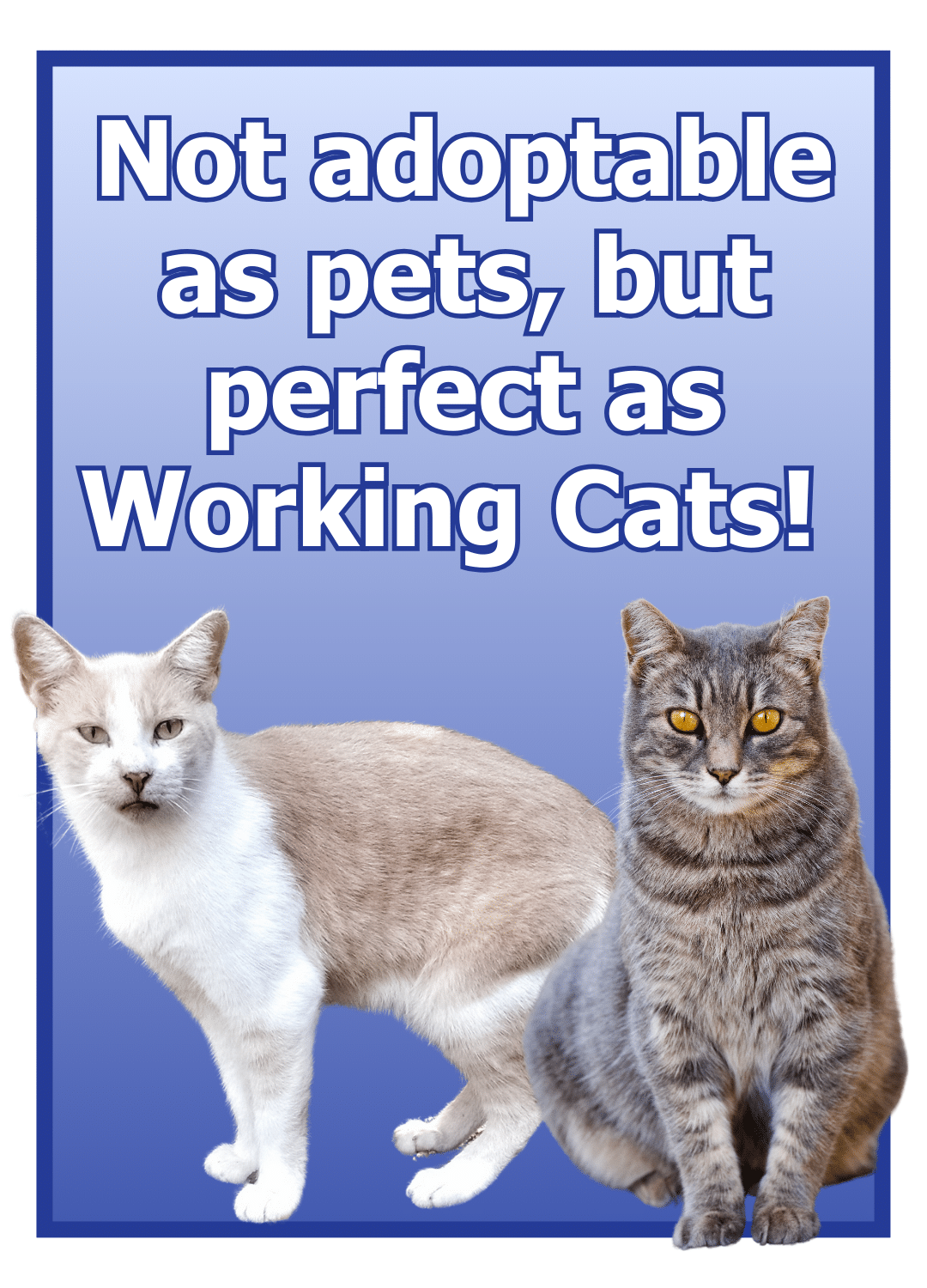 Programs - Tails Humane Society - Dekalb IL