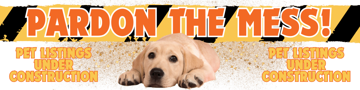 Dogs Available for Adoption- Tails Humane Society - Dekalb IL